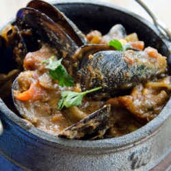 LEKKER RESEPTE VIR DIE JONGERGESLAG: POTJIEKOS-VIS