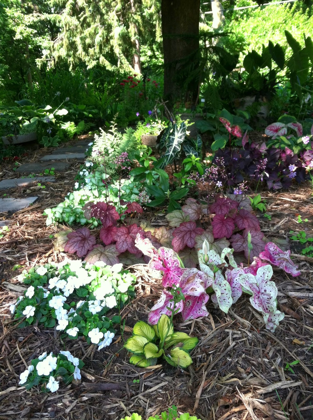 I Love My Garden: Reminiscing on Last Summer