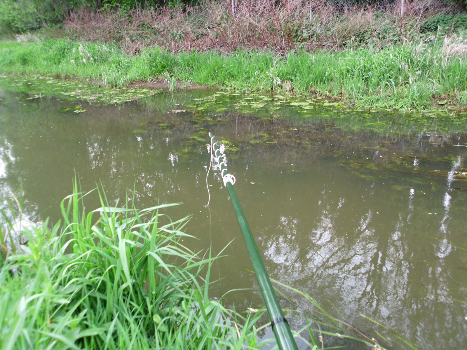 Aalzeit bereit !: Die Köderfischsenke