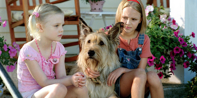 shaheena sheikh: Because of Winn-Dixie