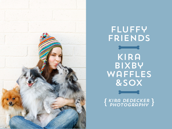 Itty Bitty & Fluffy: Fluffy Friends - Kira, Bixby, Waffles & Sox