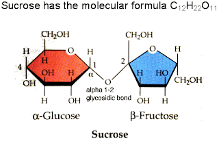 Carbohydrates Classification , Structure , Sources With Example