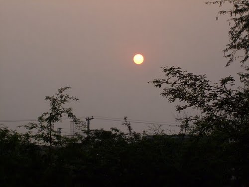 SULEHRI`S SECRETARIAT: CHAWINDA,"GRAVEYARD OF TANKS" TEHSIL PASRUR ...