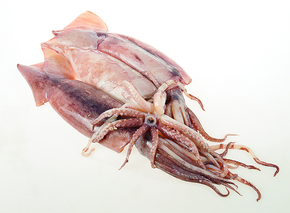 Вкуснотека: Пълнени калмари