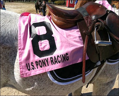 Scott Wykoff's WBAL Radio Blog: Ponying Up | WBAL Radio 1090 AM