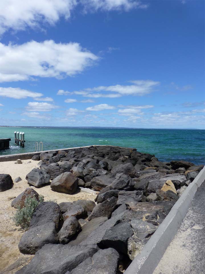 ANYTHING BUT HUMAN: MORDIALLOC BEACH TODAY