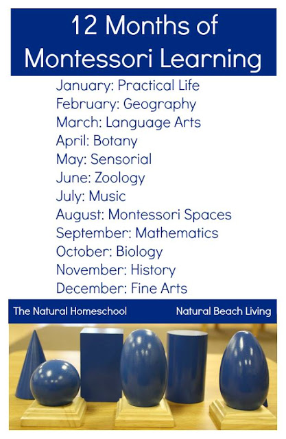 Our Montessori-inspired Timeline of Life - Every Star Is Different