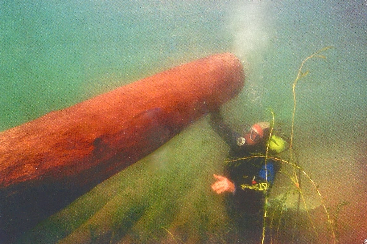 My Favorite Views: Wisconsin - Superior Water-Logged Lumber