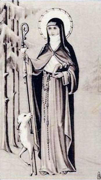 Little Plant of St. Francis: A Few Miracles in the Early Life of St ...