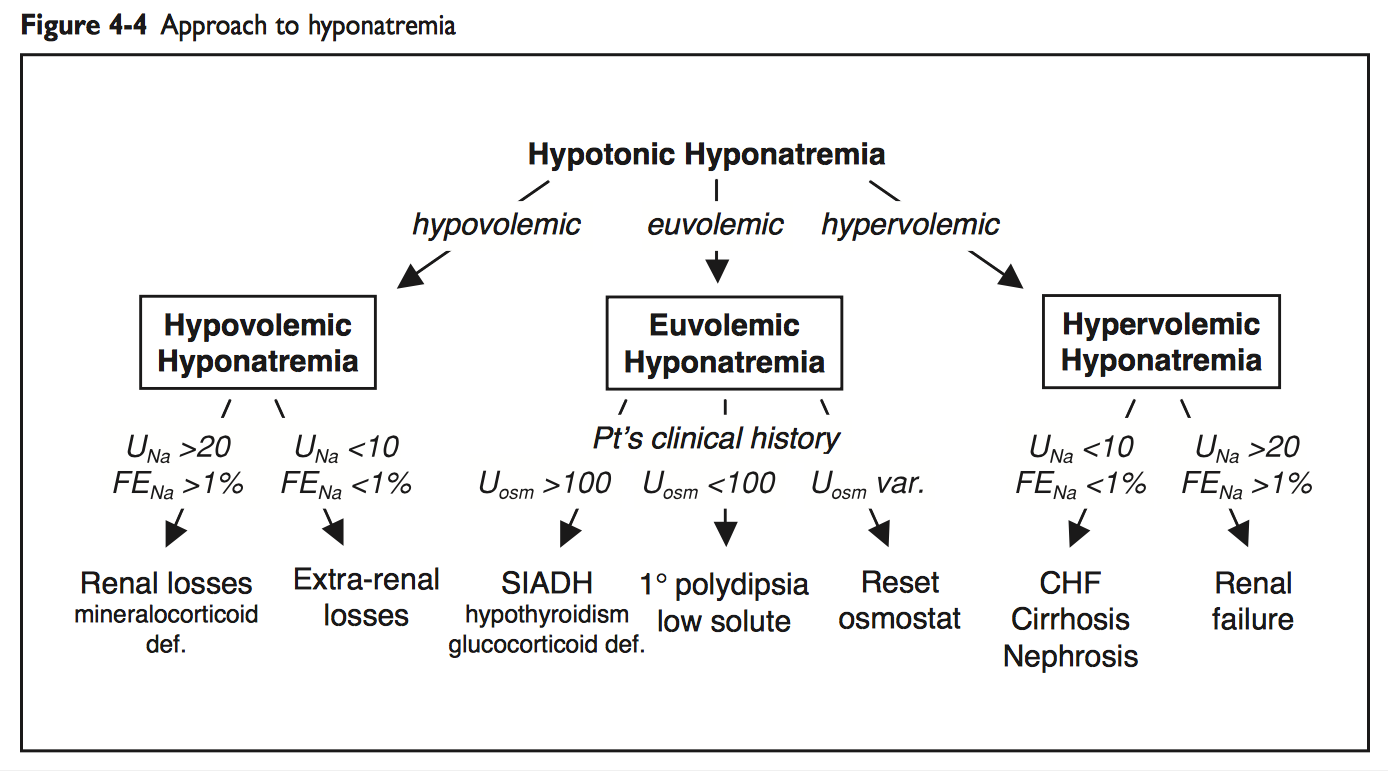 [鈉與鉀]之5: 低血鈉 - 開始DD - Dr.尤瑞卡