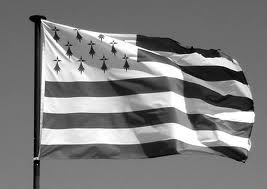 Madhouse Family Reviews: Brittany recipe idea : Cooking with Seaweed