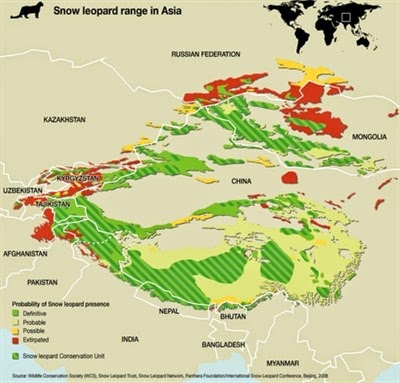 Gloria's Endangered Earth Class Blog: Snow Leopards-- Endangered Species