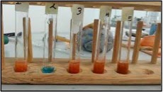 REACCIÓN DE FEHLING ~ Lab. de Bioquimica