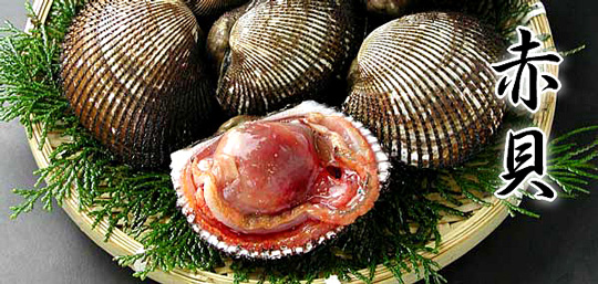 Giappone in cucina: Lesson 2 Sushi Akagai