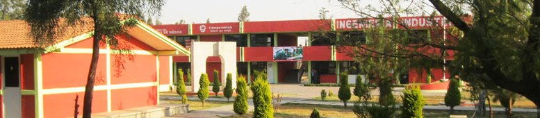 INGENIERIA EN SISTEMAS: TESOEM - INGENIERIA INDUSTRIAL