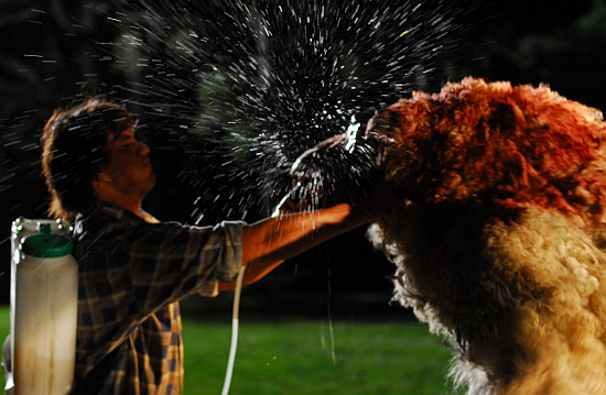 The Horror Club: DVD Review: Black Sheep (2006)