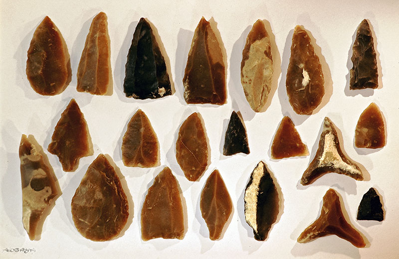 French Vocabulary Illustrated: silex