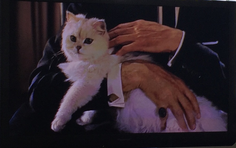 Project Bond: From Russia With Love | Big Stevie Cool