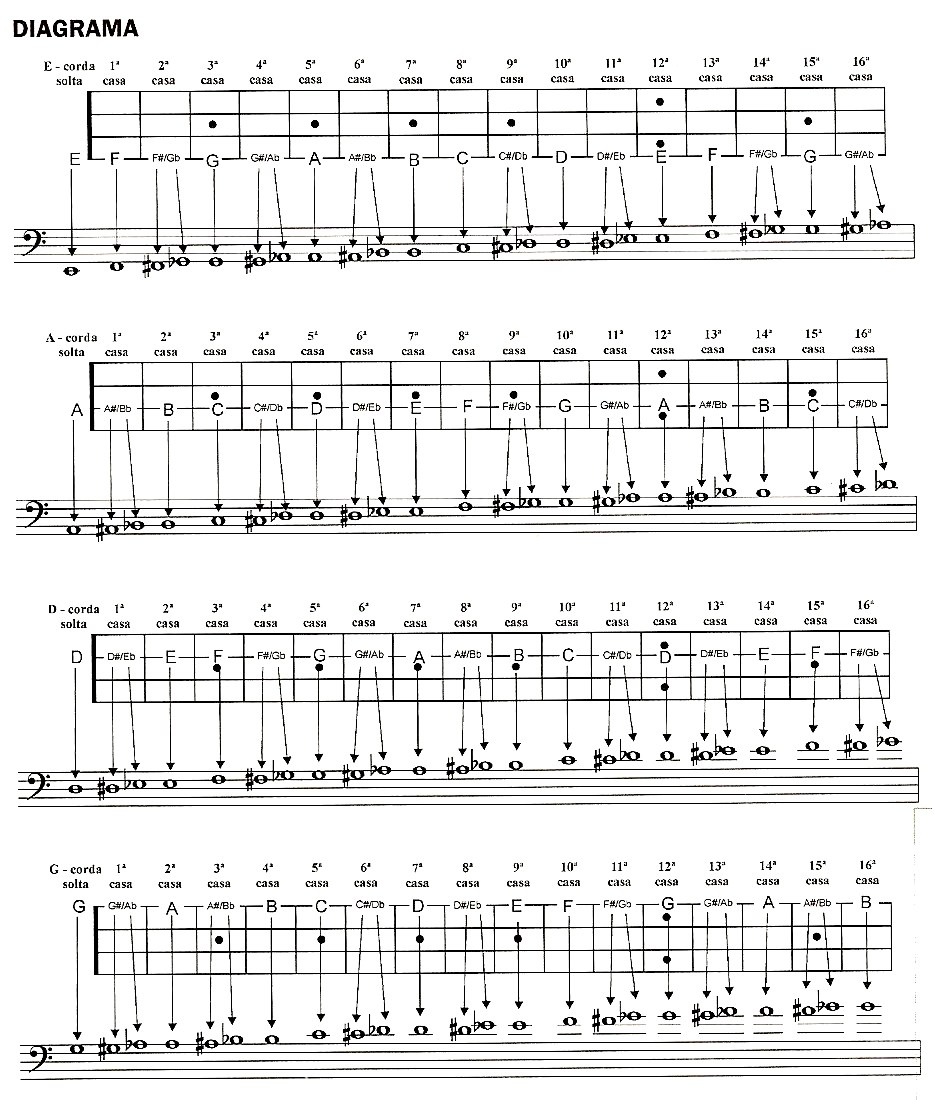 Como Ler Partitura | Aprenda Tocar Contra baixo