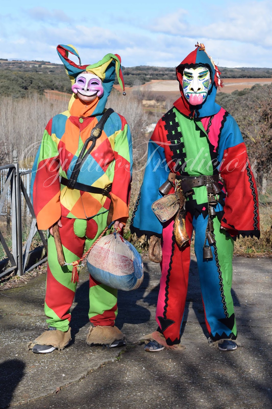 OBJETIVO TRADICIÓN: LA BOTARGA Y EL BUFÓN DE PALACIO DE MOHERNANDO ...