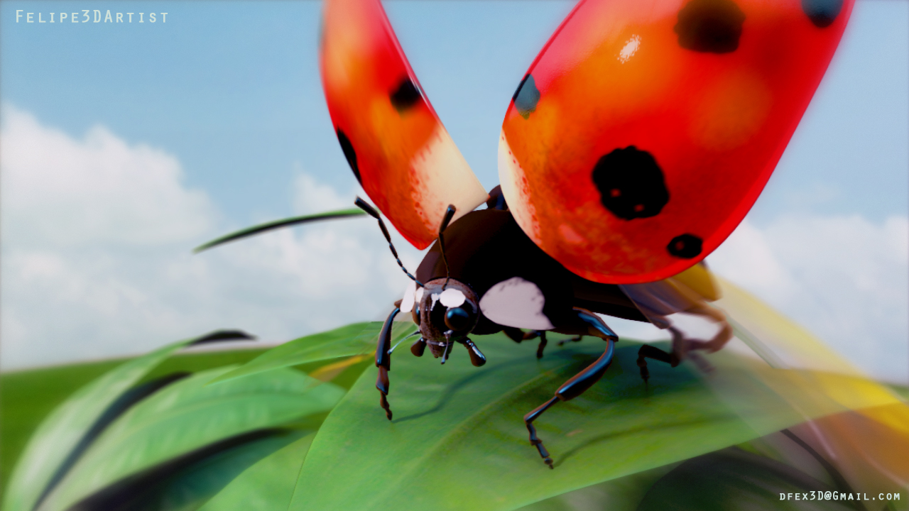 The flight of ladybug on Behance