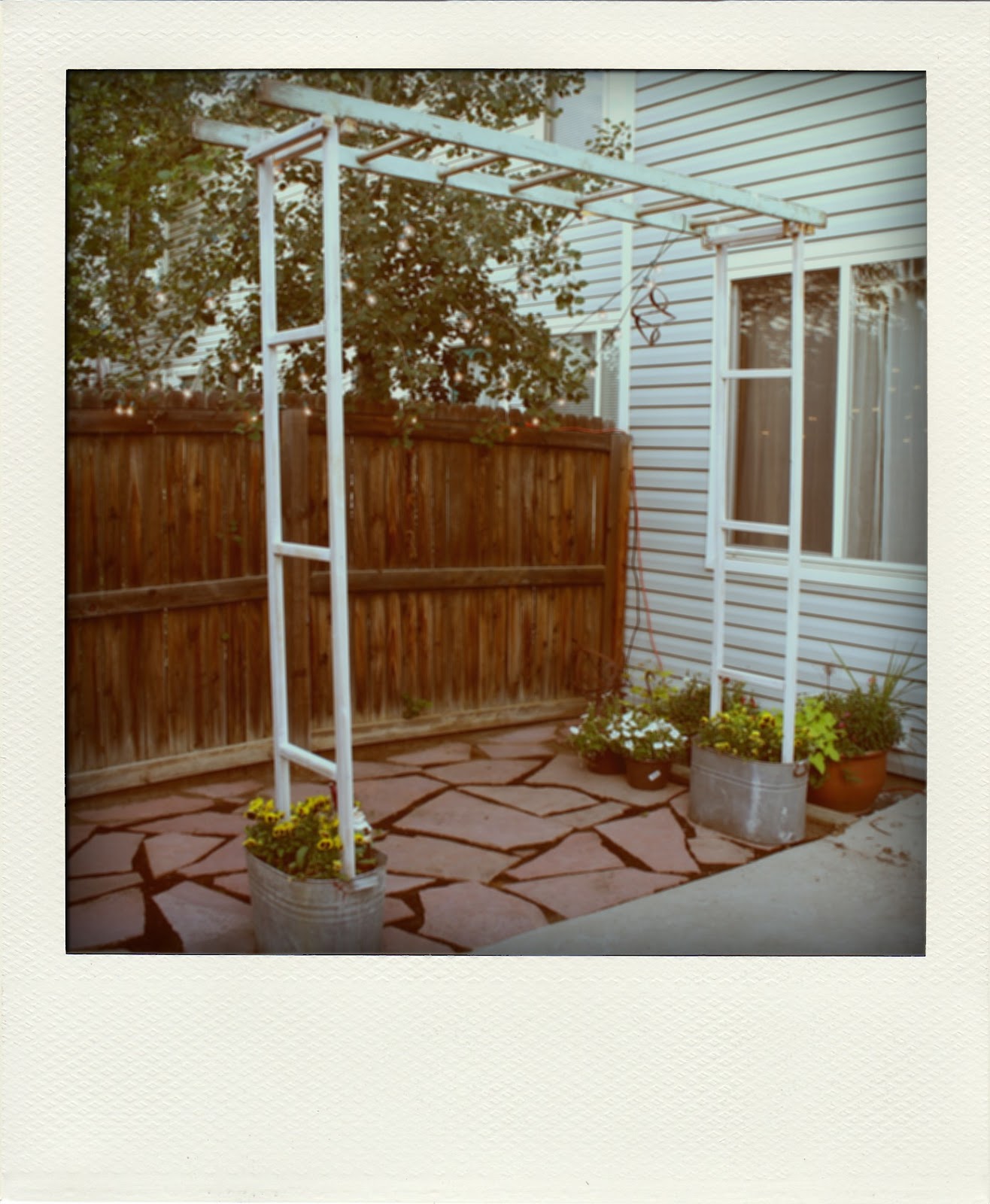 design+diy: Vintage Ladder Arbor