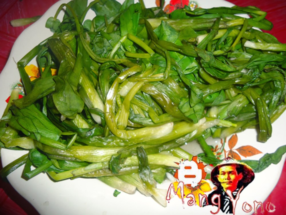 Eceng Sawah Gulma Yang Bermanfa'at