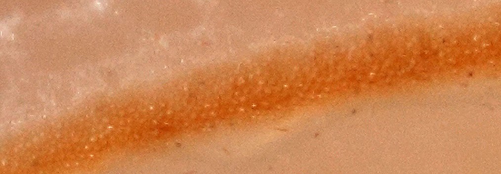 BunyipCo: October 2013