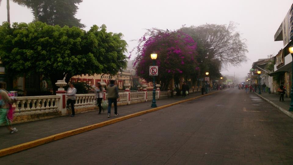 COATEPEC Y LA REGION: EN OPERATIVO COORDINADO SE LIBERAN DEL COMERCIO ...