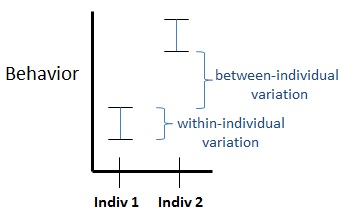 The Headbanging Behaviorist: Competition avoidance drives foraging ...