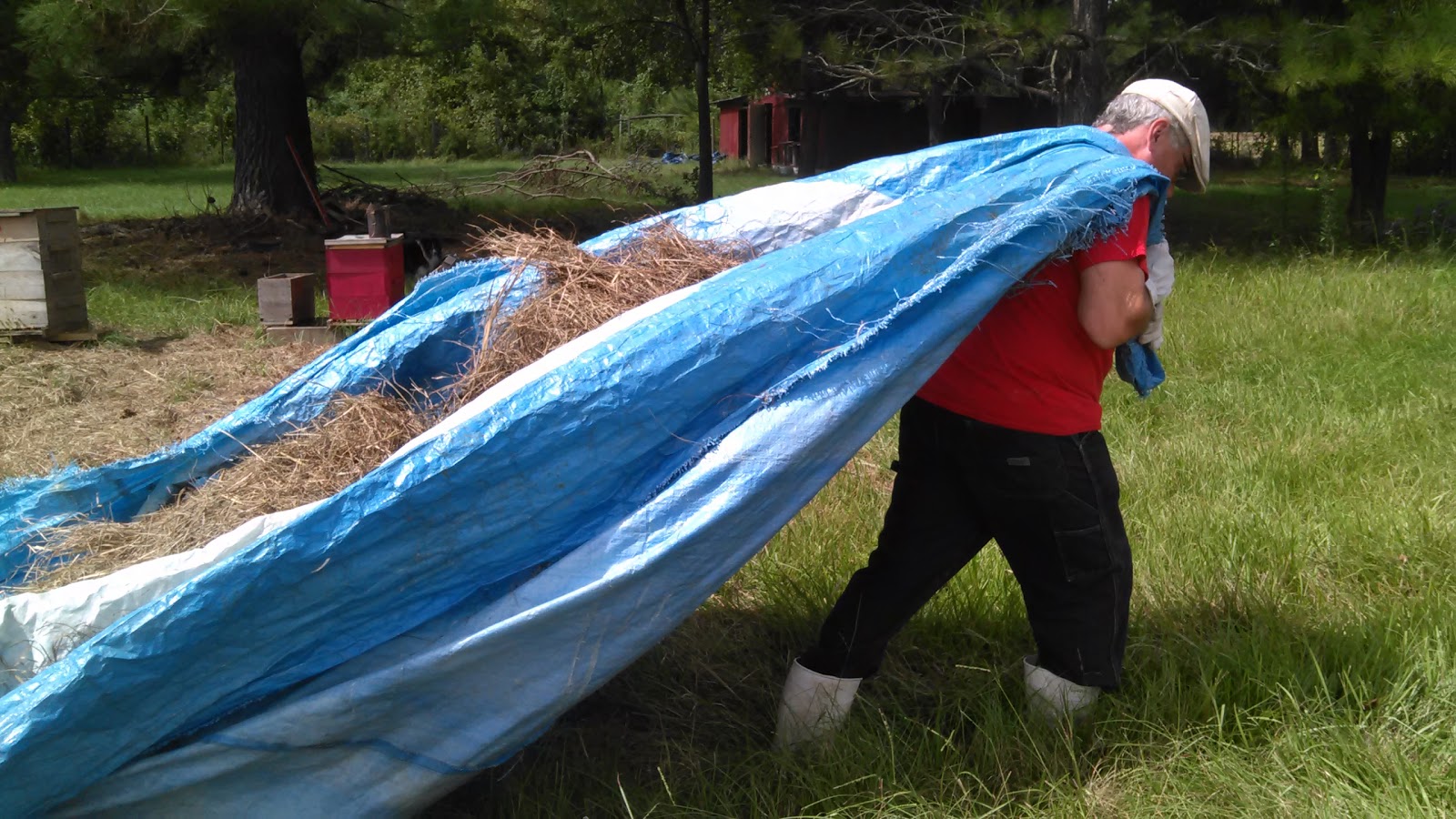 Red Robin Farm: Sprinkling Seeds and Piling Manure