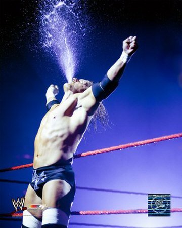 TRIPLE H HAMMER: Triple H