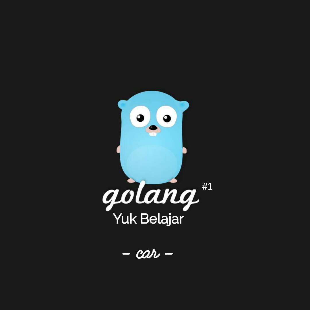 Ini Dia Alasan Mengapa Programer Wajib Belajar Go Language | Butuh Script