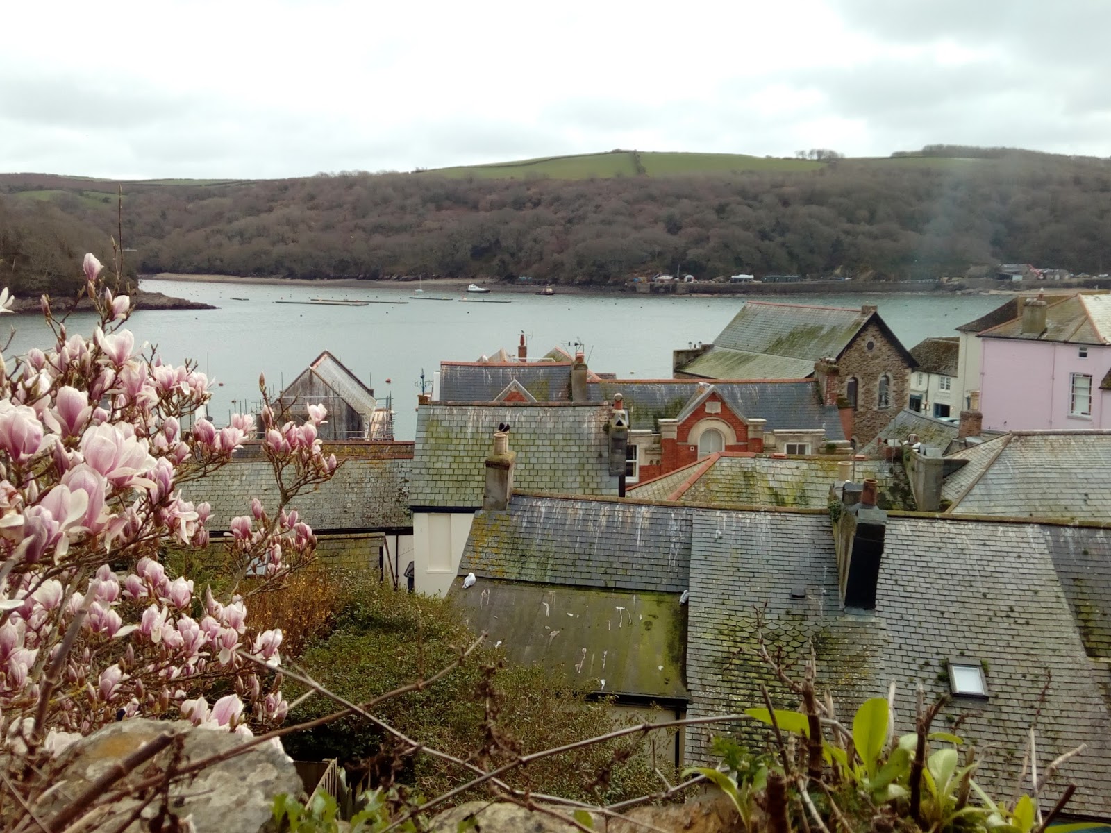 Living the Devon Dream