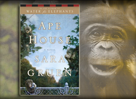 Bonnie's Books: Beginning ~ before takeoff