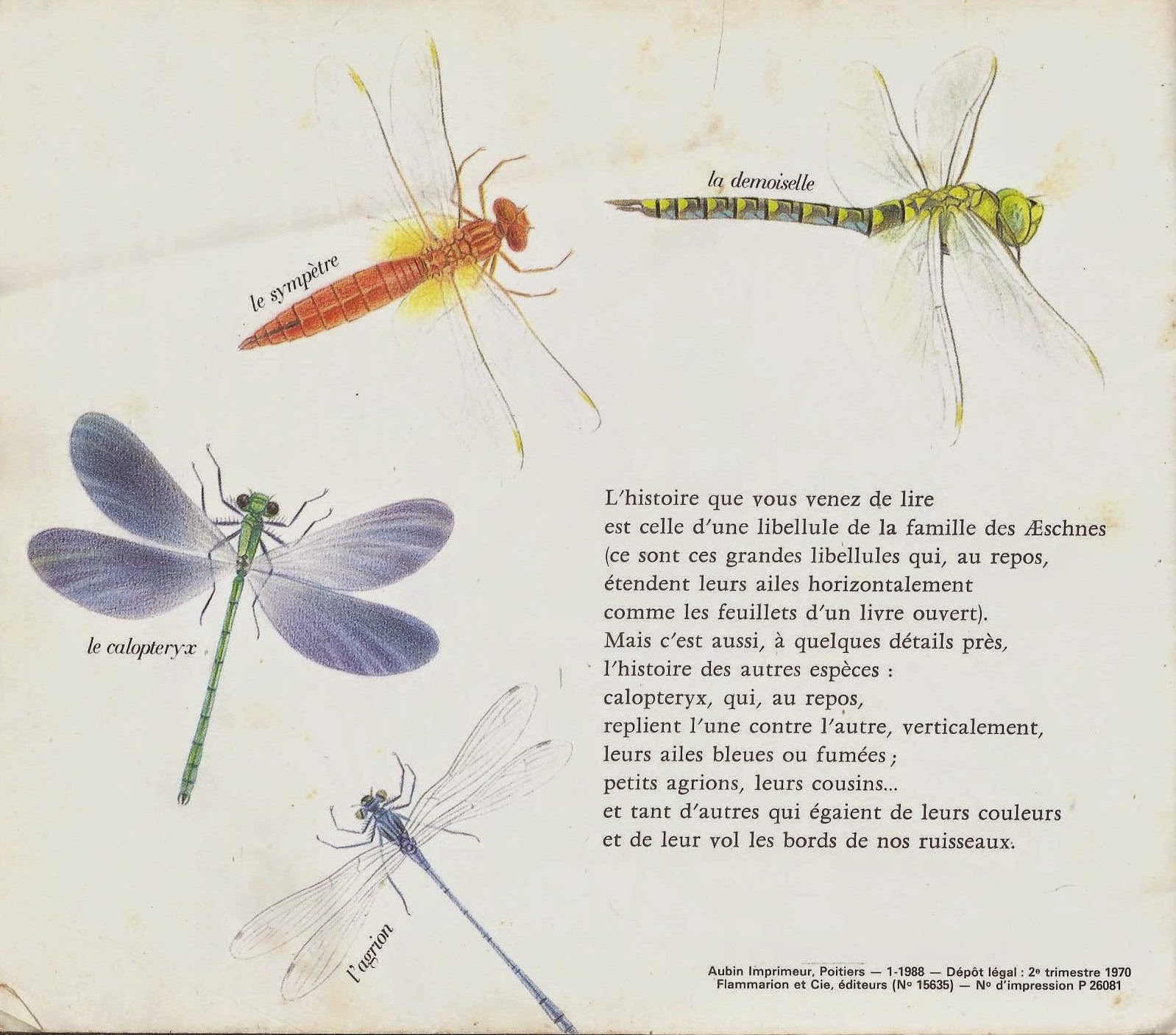 école : références: Demoiselle Libellule (A. Telier, 1970)
