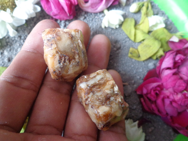 wong jowo: MENYAN MADU