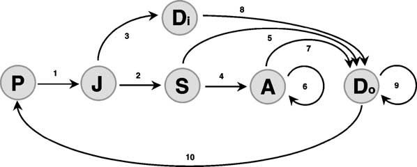 Lycographos: Conservation and control strategies for the wolf (Canis ...
