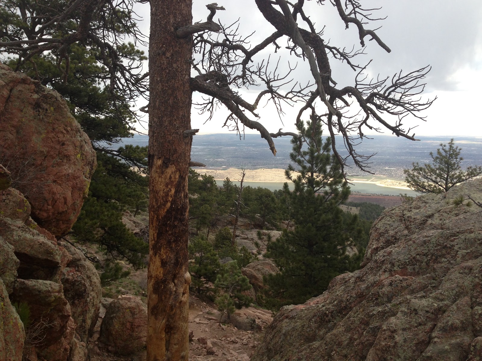 Quad Rock 50 Race Report