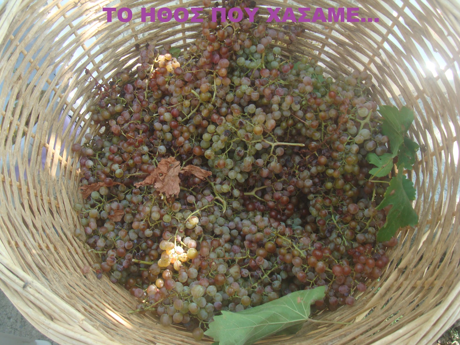 TΟ ΗΘΟΣ ΠΟΥ ΧΑΣΑΜΕ...: Καλημέρα και σήμερα...