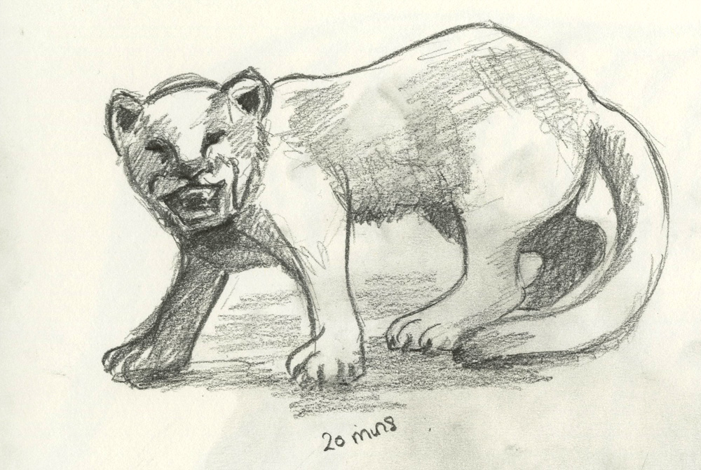 Emma Bates - Observational Drawing 2: Figure Drawing - Non-human Anatomy