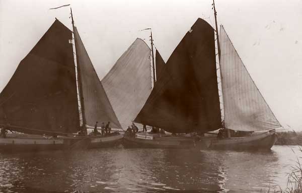 Friezen in Limburg: 2016