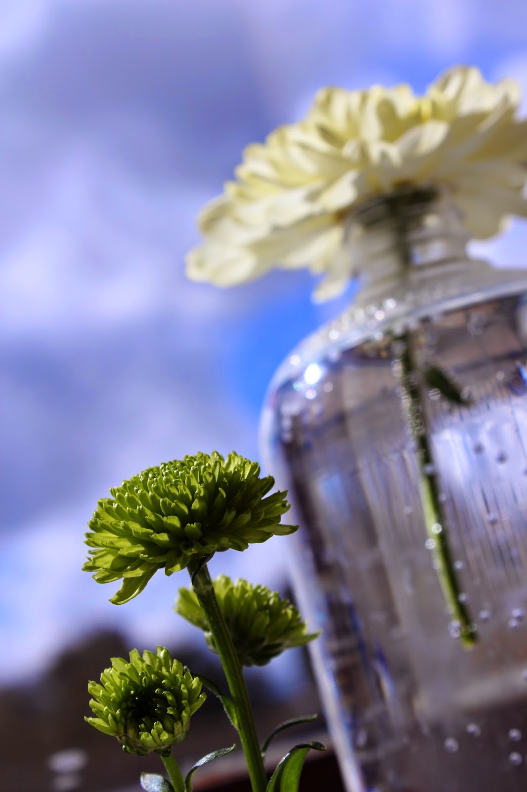 Messer Pavolo's blog: La mattina