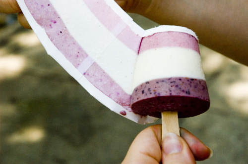 Six in the Northwest: Homemade Popsicles