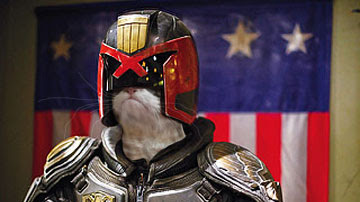 The Huh?: Tard the Grumpy Cat + Judge Dredd
