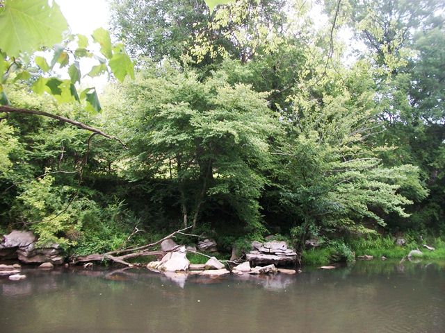 TENNESSEE FLY FISHING: Duck River July 2012