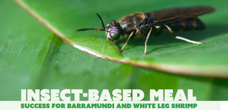 The Aquaculturists: 19/12/2017: Insect-based meal success for ...