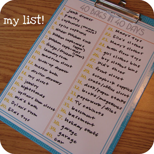 the terpblog: 40 bags in 40 days