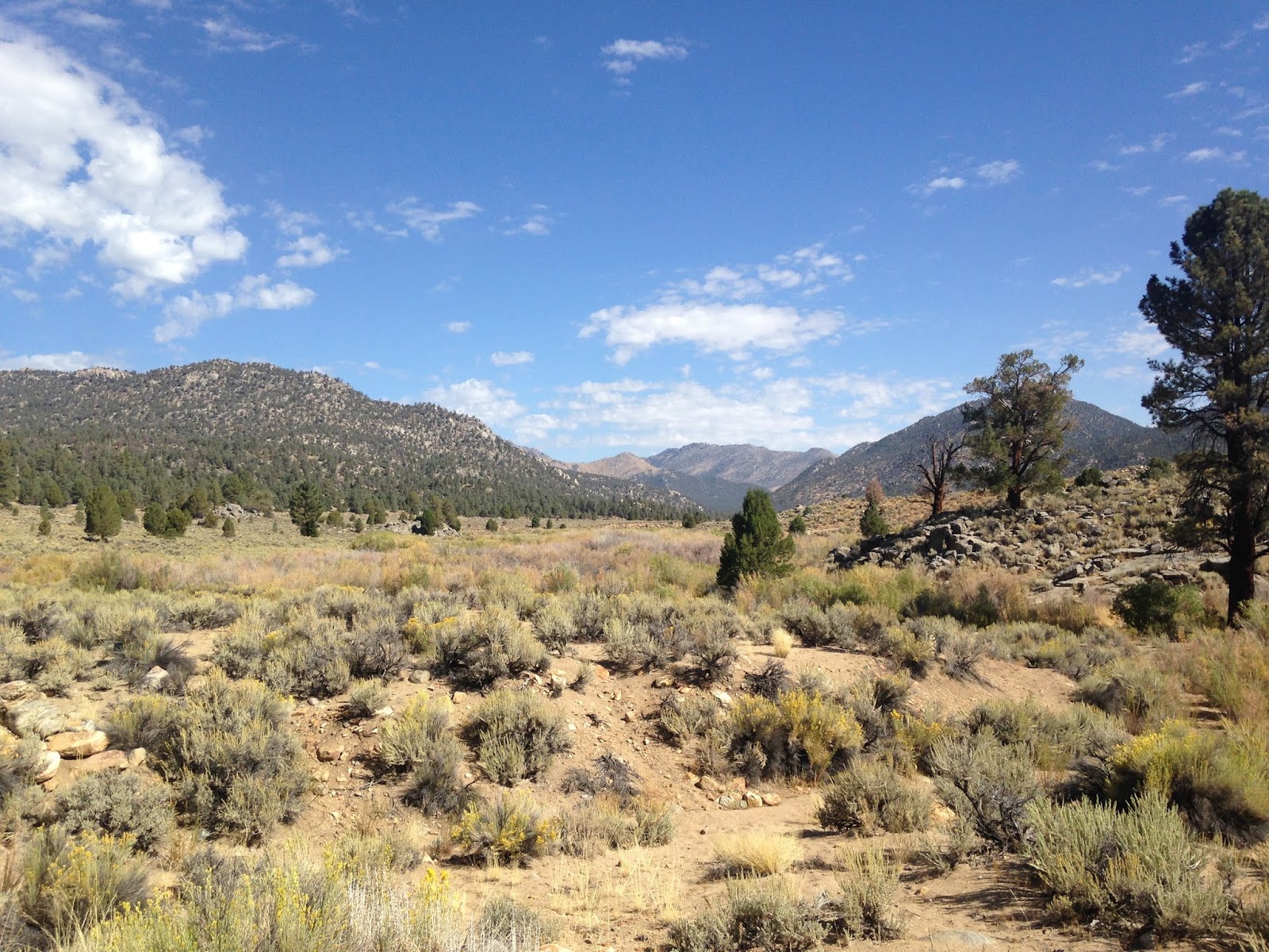 Trans-Sierra Highway Passes; Sherman Pass Road and Signed County Route J41