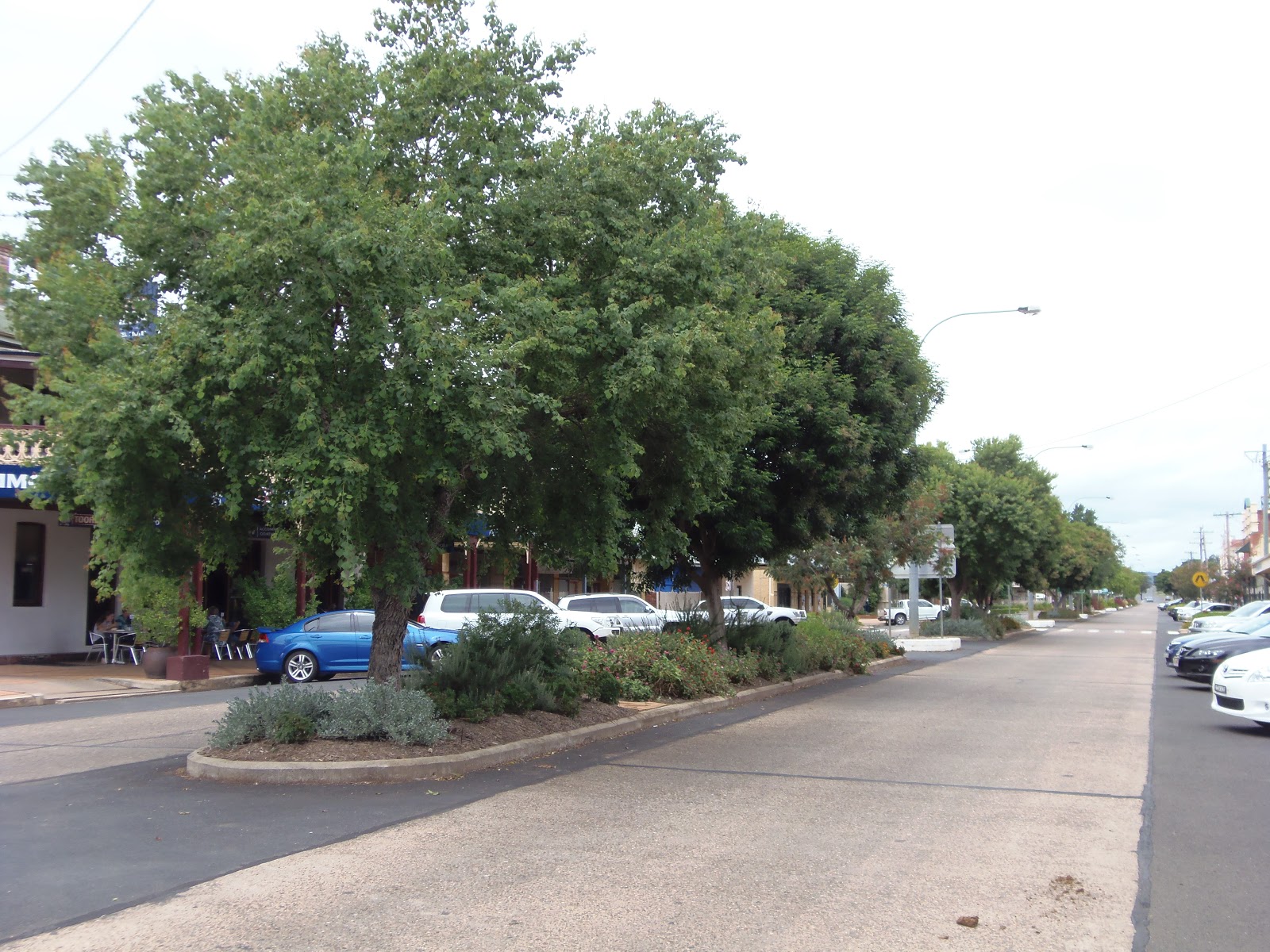 Solo Steve On The Road: BINGARA NSW
